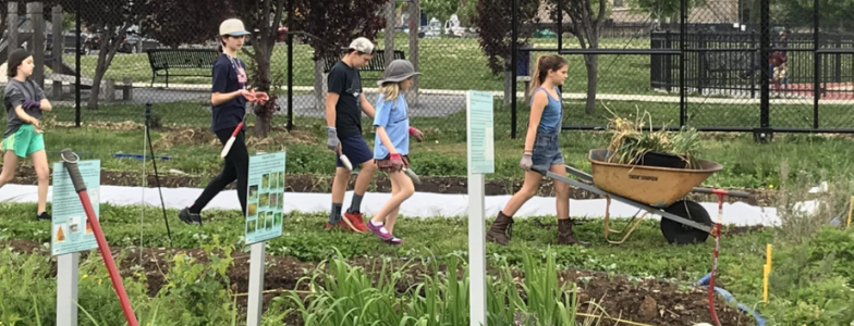 mysa gardening - Mysa School